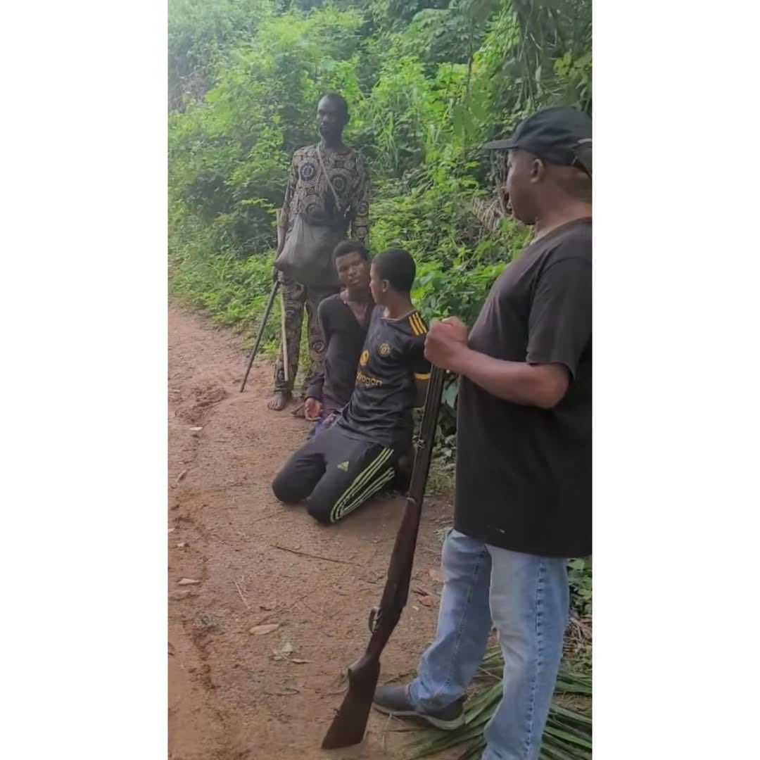 Two Suspected Bandits Arrested With Cattle In Osun Forest Operation ...